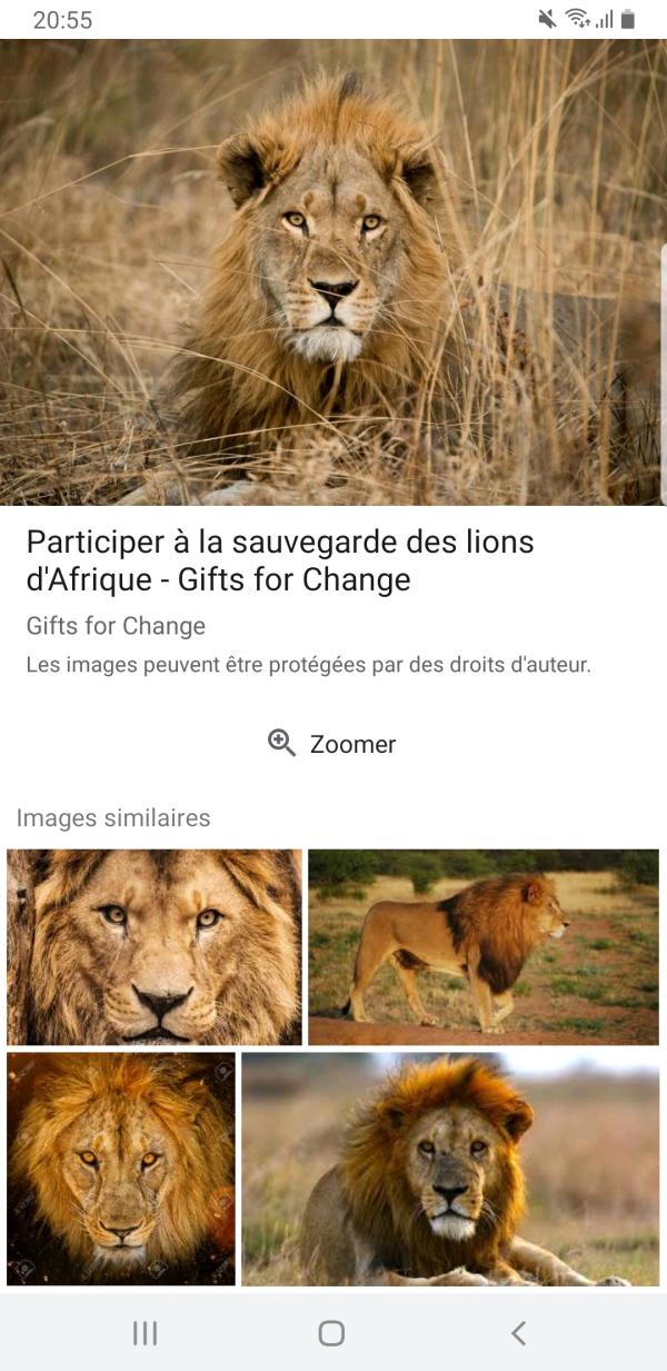 COMMENT PROTÉGER les ANIMAUX en VOIE de DISPARITION - TOUT SAVOIR