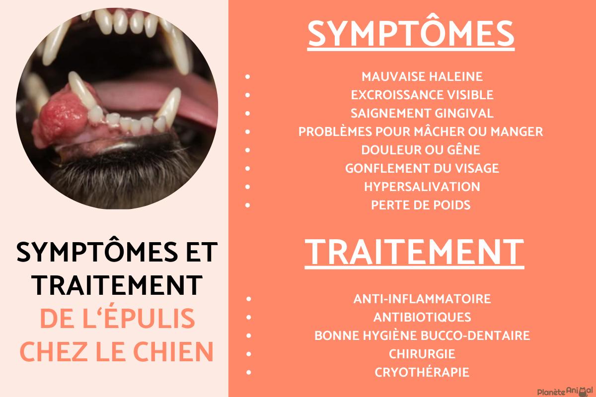 Épulis chez le chien - Symptômes et traitement