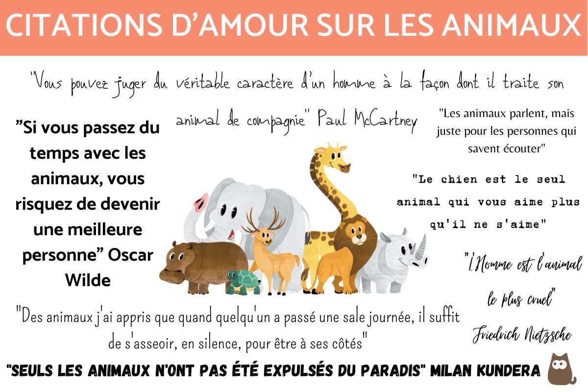+ de 100 CITATIONS sur les ANIMAUX - Courtes, Jolies, Drôles, pour ...