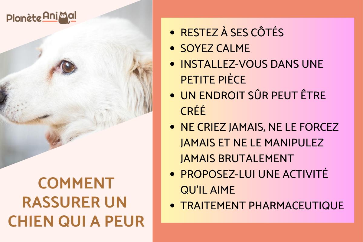 COMMENT RASSURER un CHIEN qui a PEUR