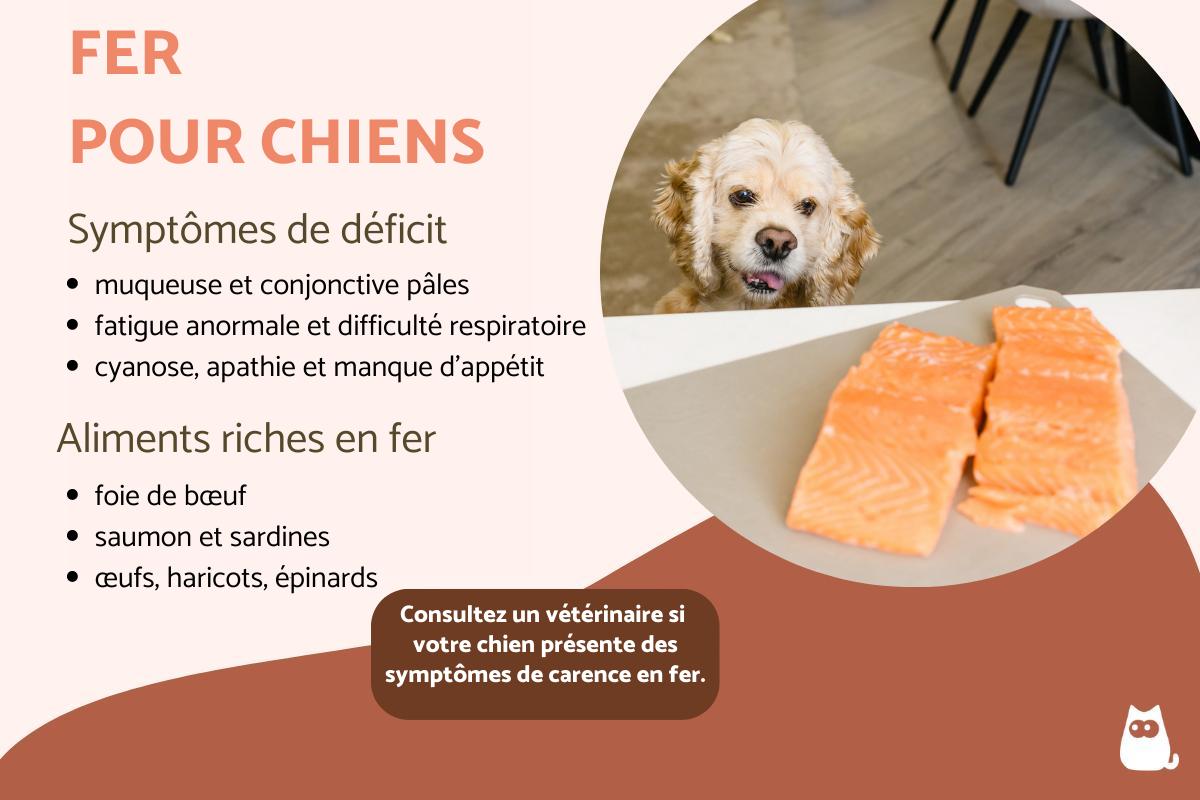FER pour CHIEN - POSOLOGIE, FONCTIONS, DÉFICIT et ALIMENTATION