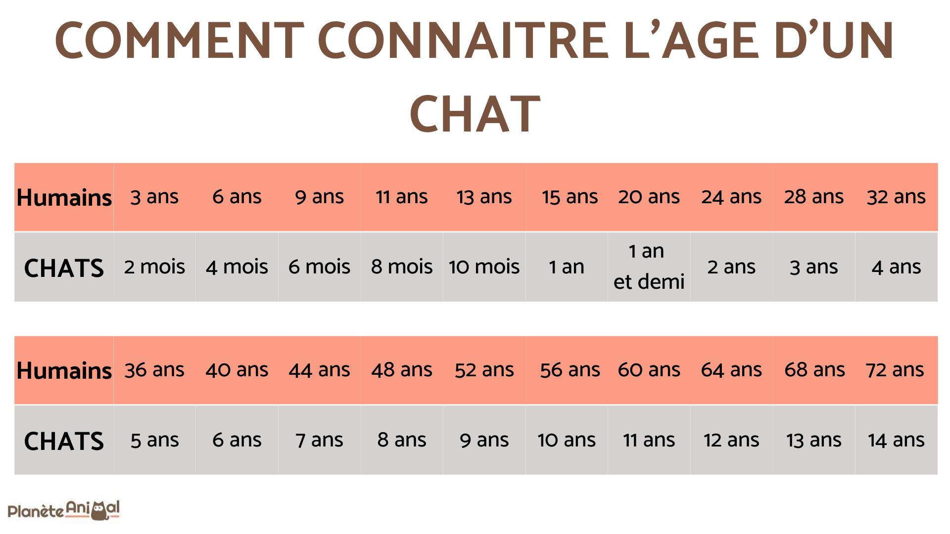 Comment CONNAITRE L'ÂGE d'un CHAT