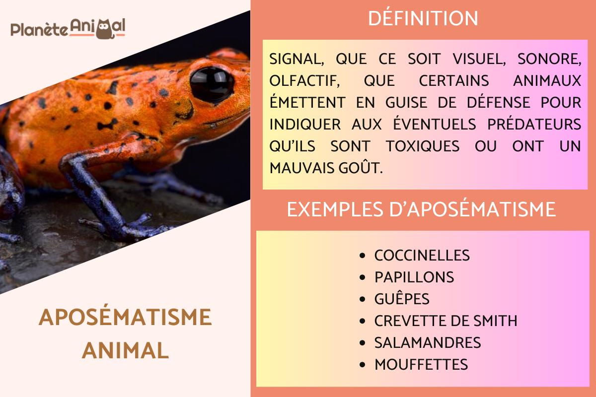 APOSÉMATISME ANIMAL - DÉFINITION et EXEMPLES