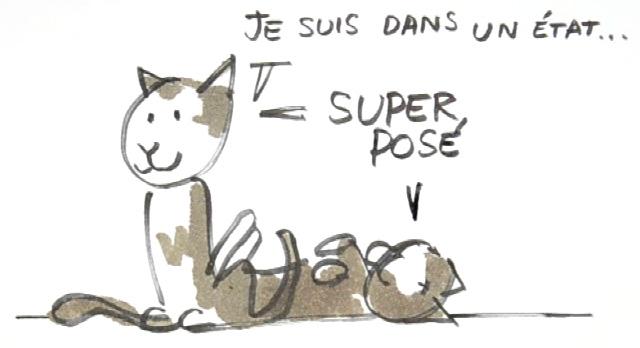 Le chat de Schrödinger - explication simple