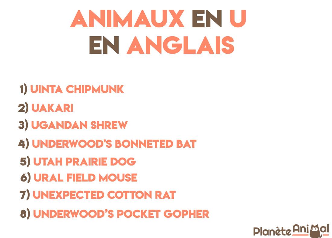 8 ANIMAUX en U pour GAGNER au PETIT BAC