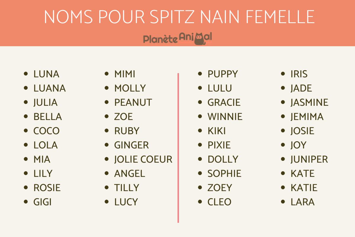 300 noms pour SPITZ NAIN MÂLE et FEMELLE