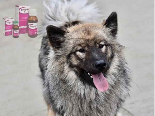 EMEPRID pour CHIEN - Usages et effets secondaires