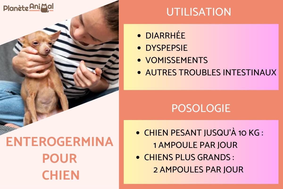 Dilatrane Chien Posologie – Dilatrane Effet Secondaire – TZXPTR