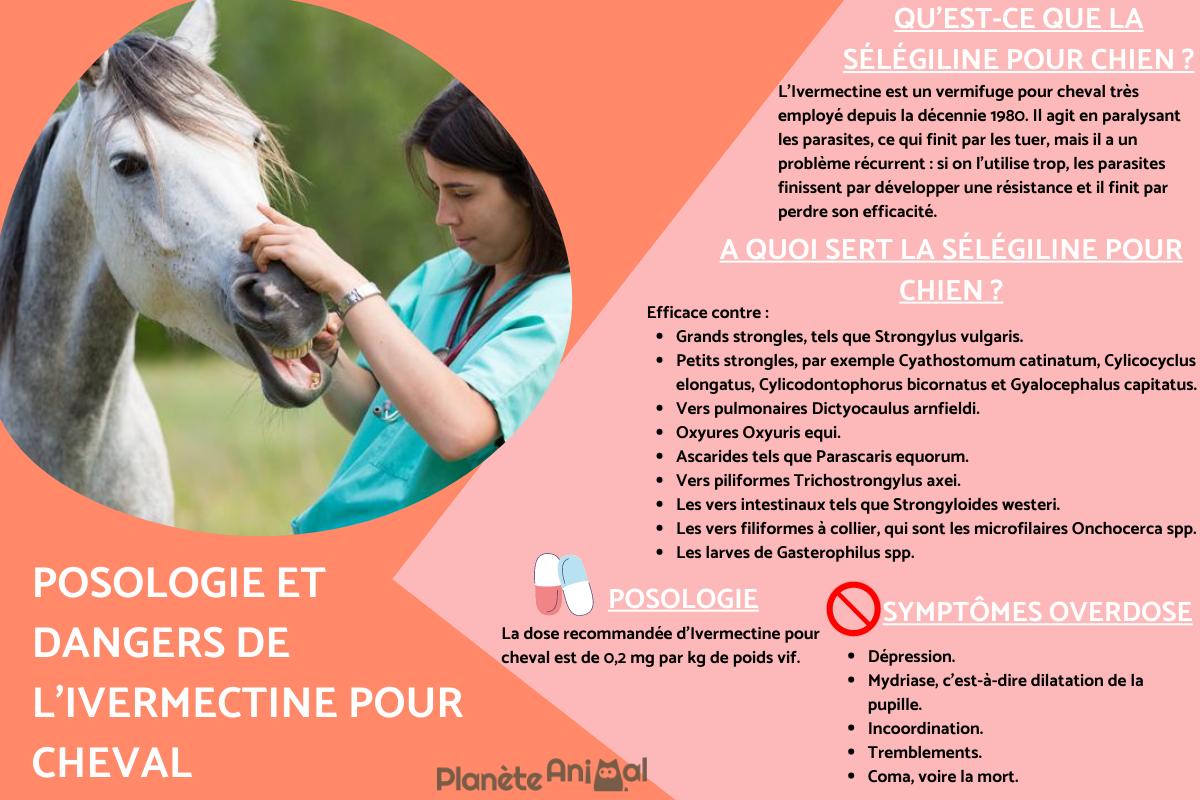 Ivermectine pour cheval - Posologie et utilisations