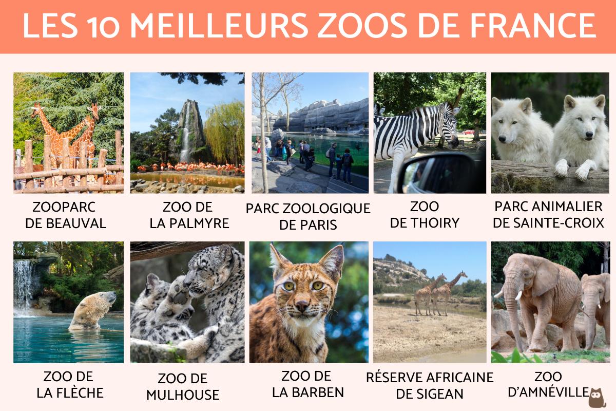 10 MEILLEURS ZOOS de FRANCE (Avec PHOTOS)