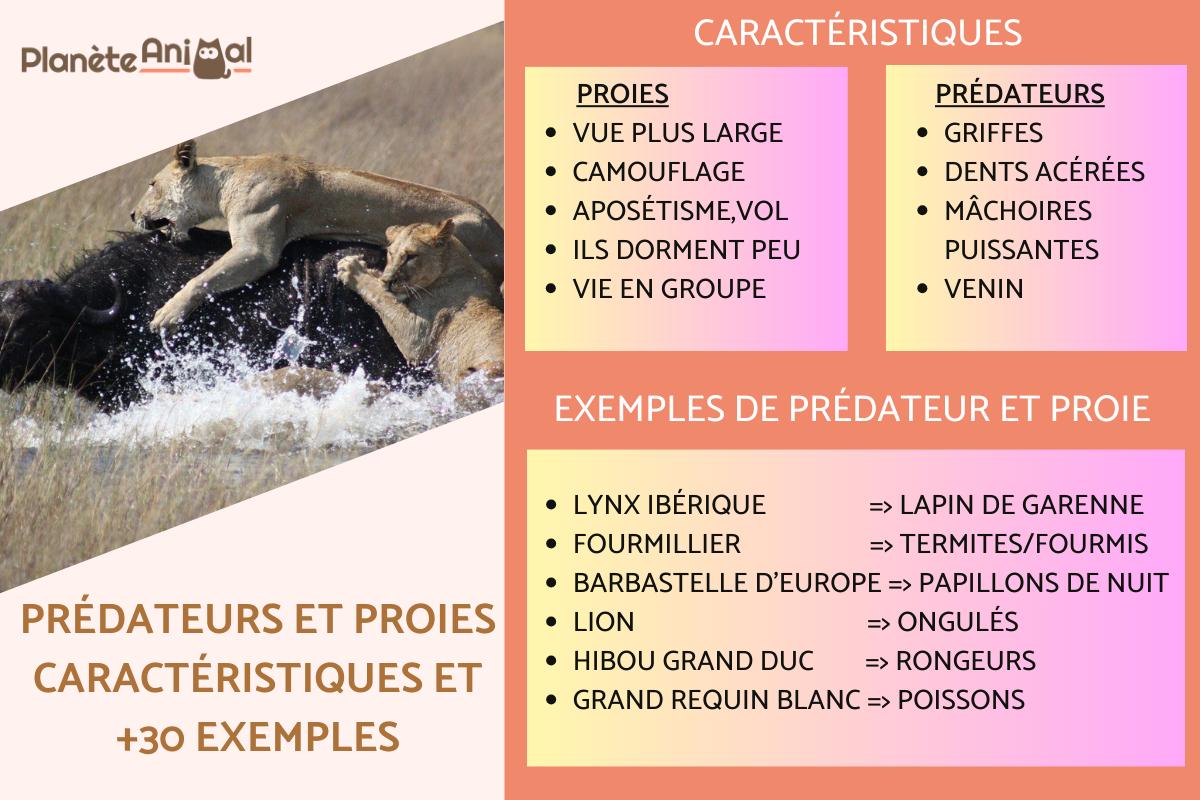 PRÉDATEURS et PROIES - CARACTÉRISTIQUES et plus de 30 EXEMPLES.....