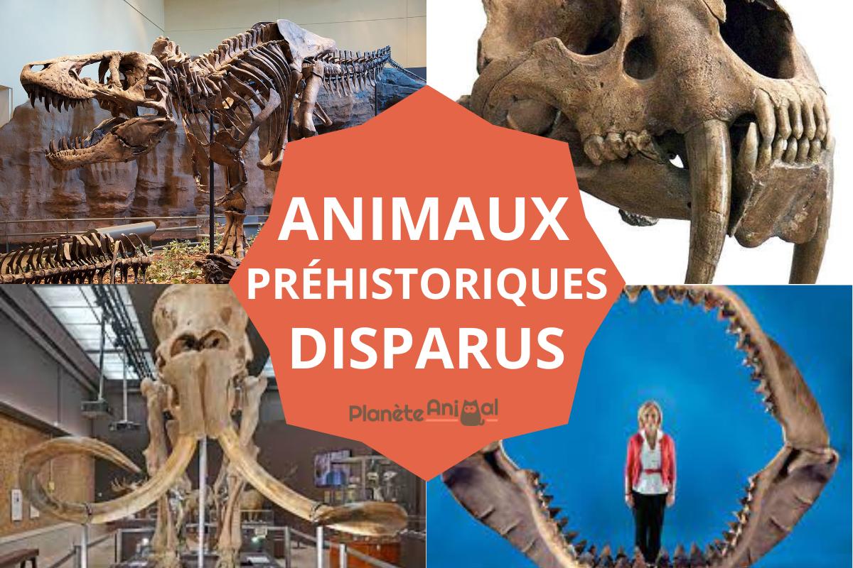Animaux préhistoriques disparus - Liste des animaux préhistoriques