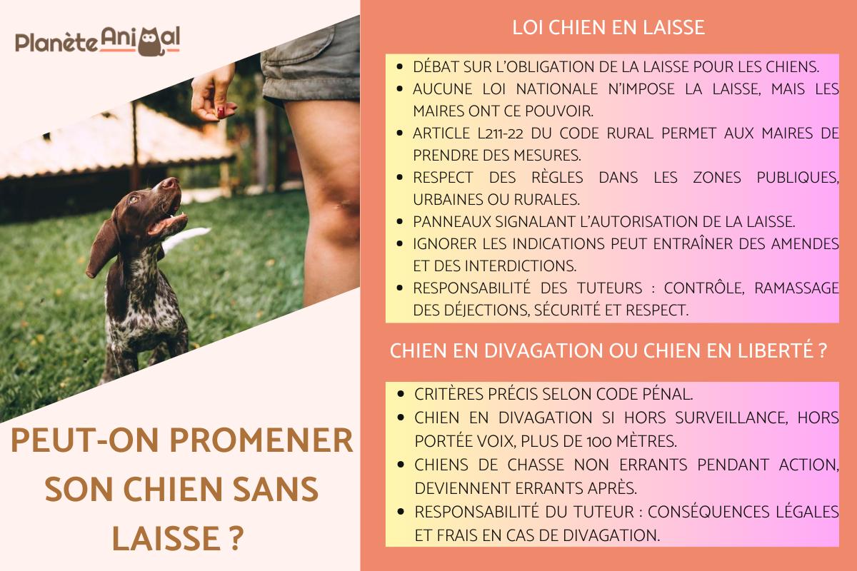 Promener son chien sans laisse - Loi 83-629 chien en laisse