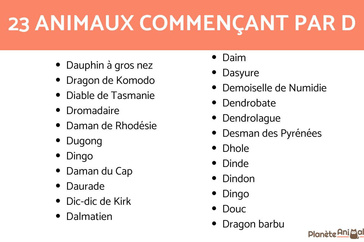 +20 ANIMAUX EN D - avec PHOTOS et en ANGLAIS