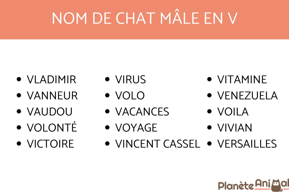 +600 NOMS de CHATS MÂLES ORIGINAUX