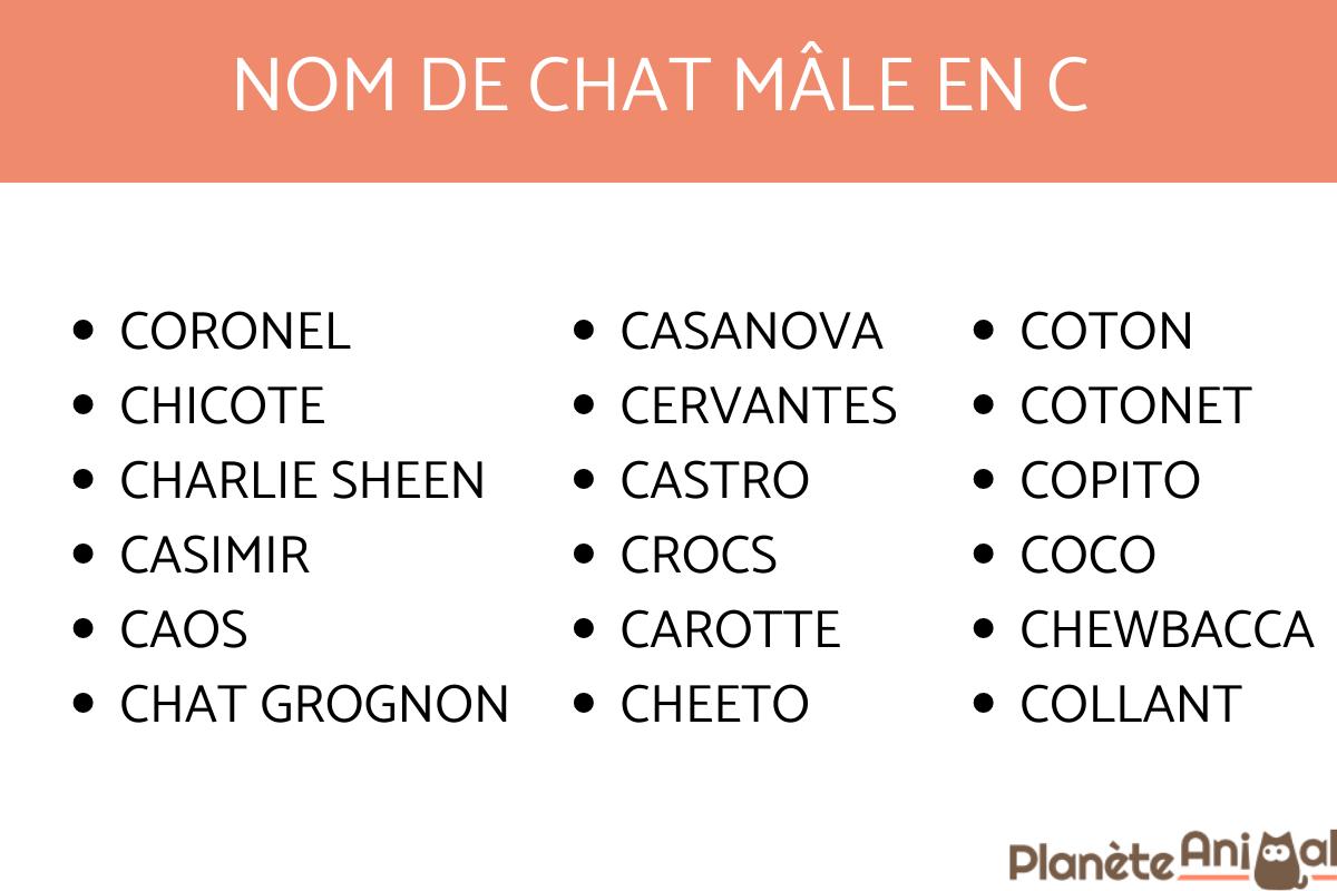 +600 NOMS de CHATS MÂLES ORIGINAUX