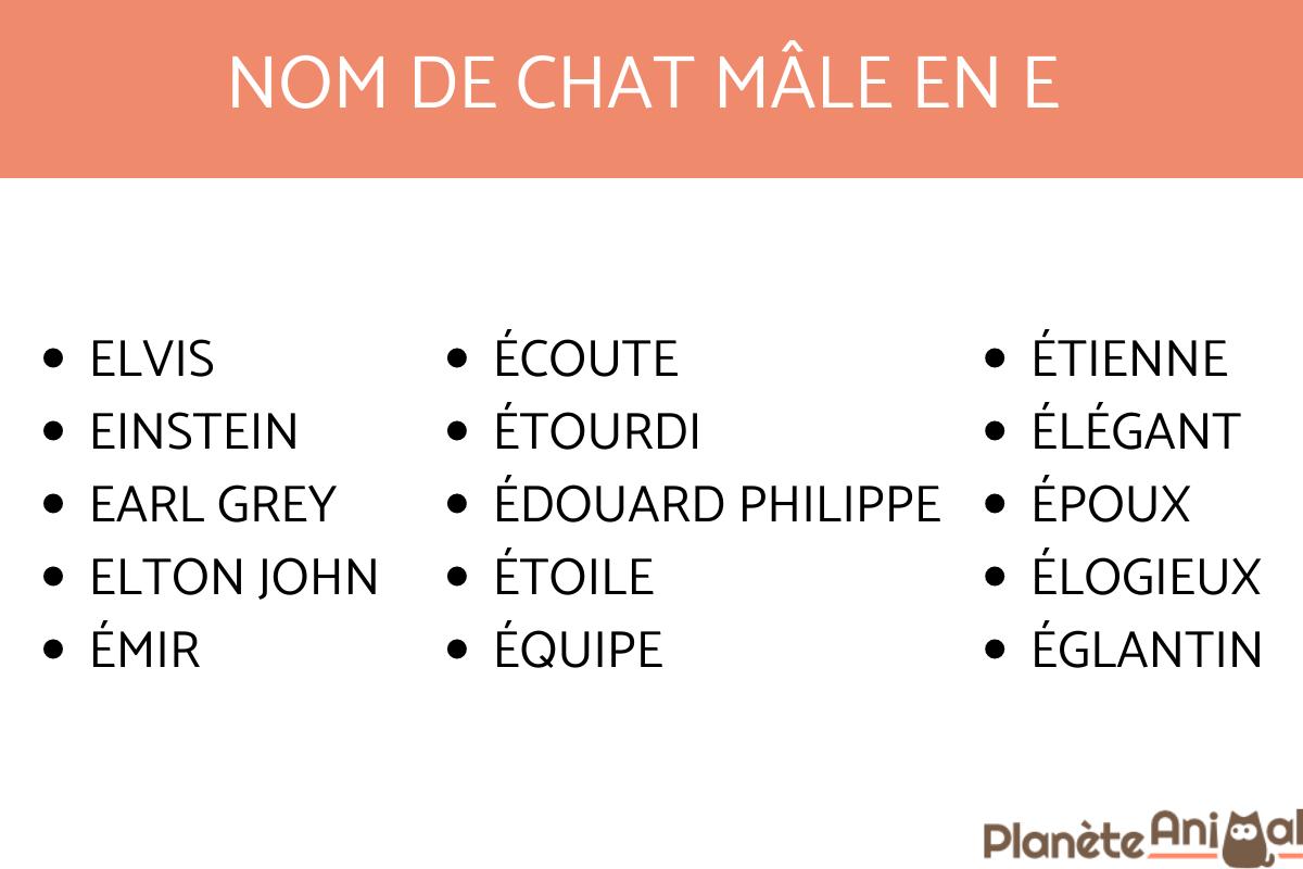 +600 NOMS de CHATS MÂLES ORIGINAUX