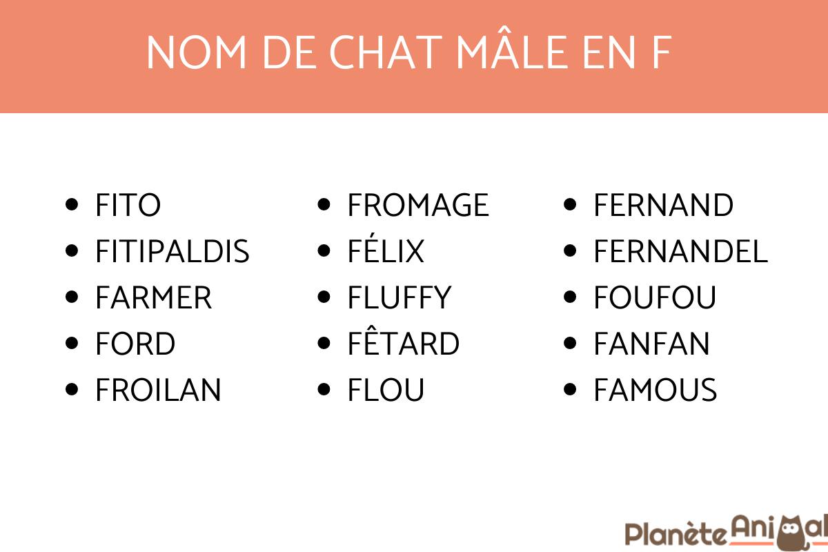 +600 NOMS de CHATS MÂLES ORIGINAUX