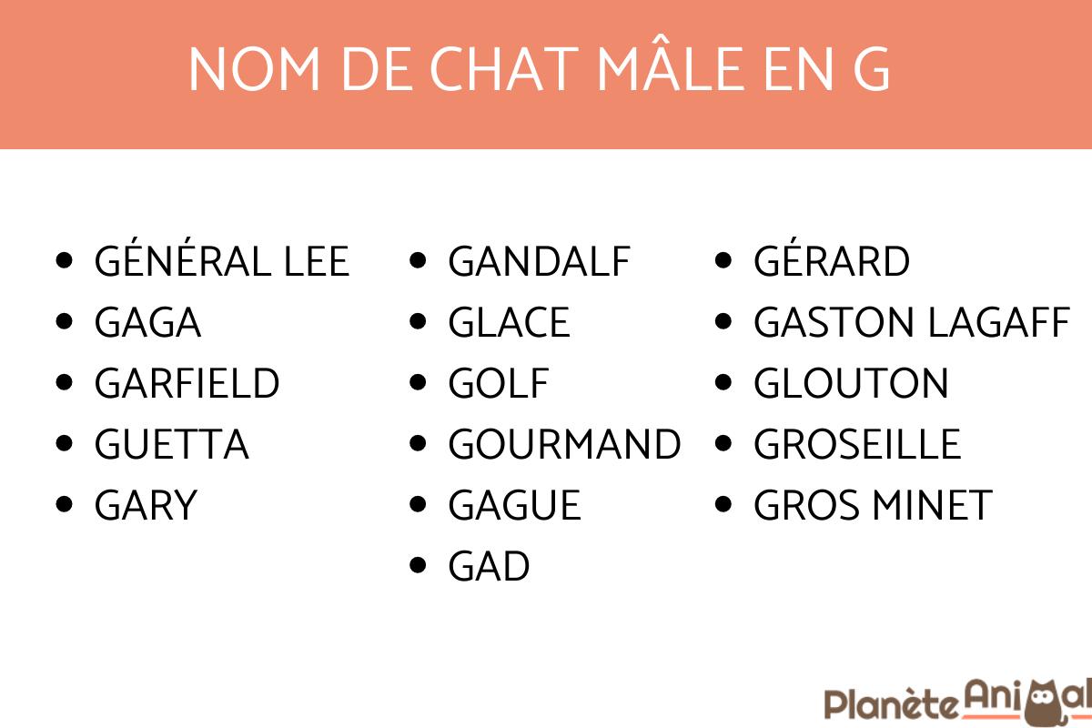 +600 NOMS de CHATS MÂLES ORIGINAUX