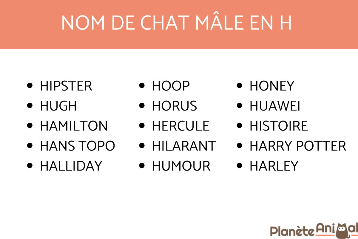 +600 NOMS de CHATS MÂLES ORIGINAUX