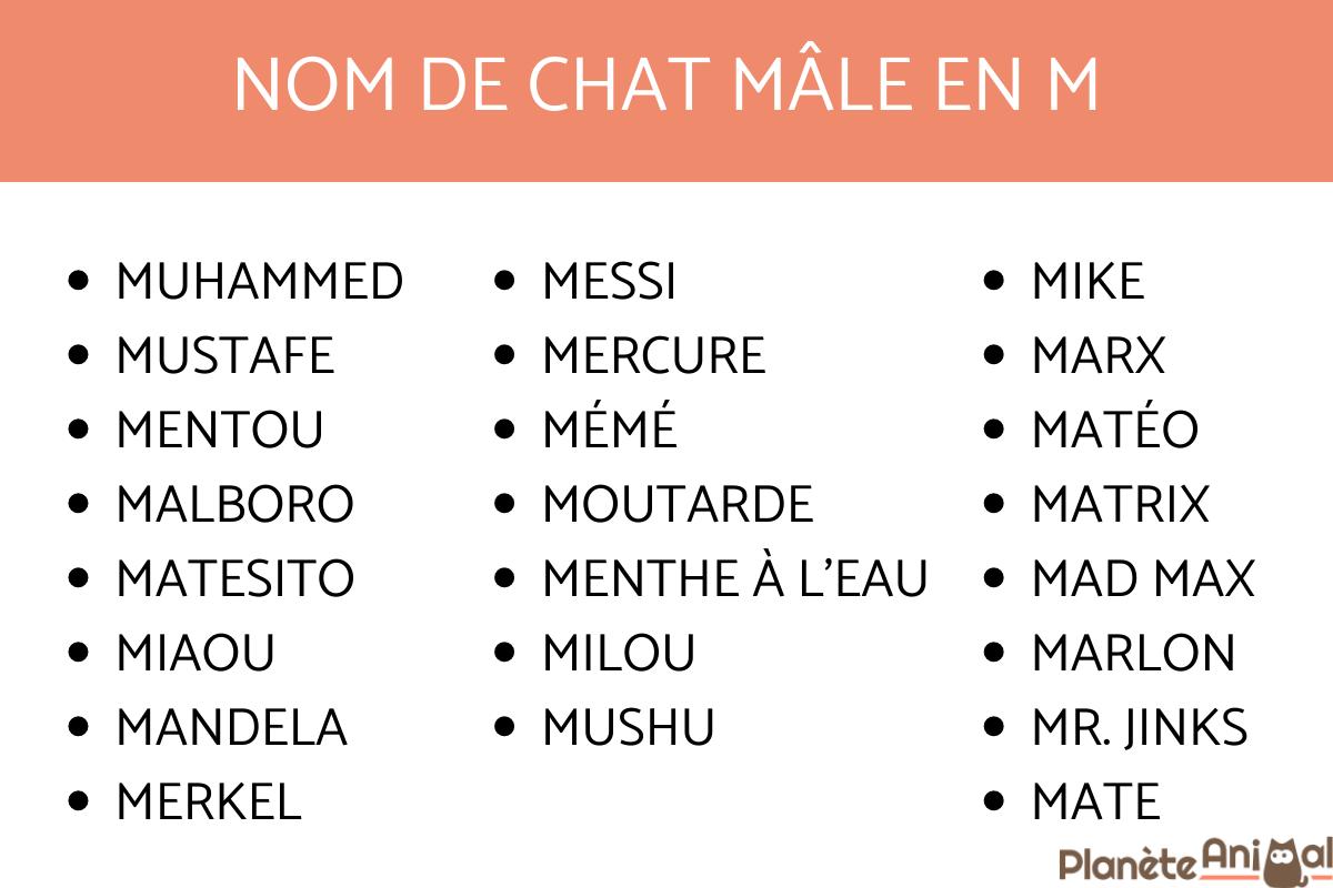 +600 NOMS de CHATS MÂLES ORIGINAUX
