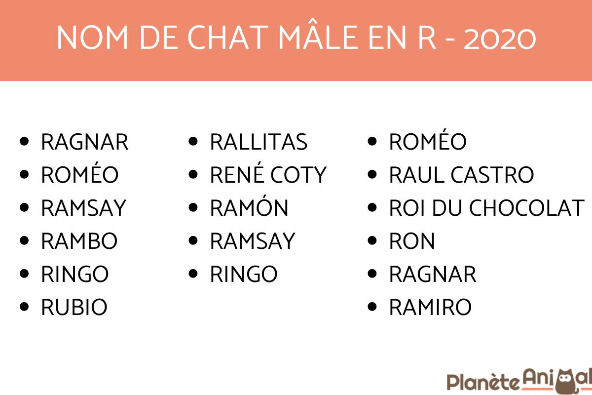 +600 NOMS de CHATS MÂLES ORIGINAUX