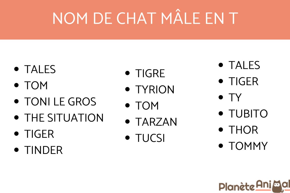 +600 NOMS de CHATS MÂLES ORIGINAUX