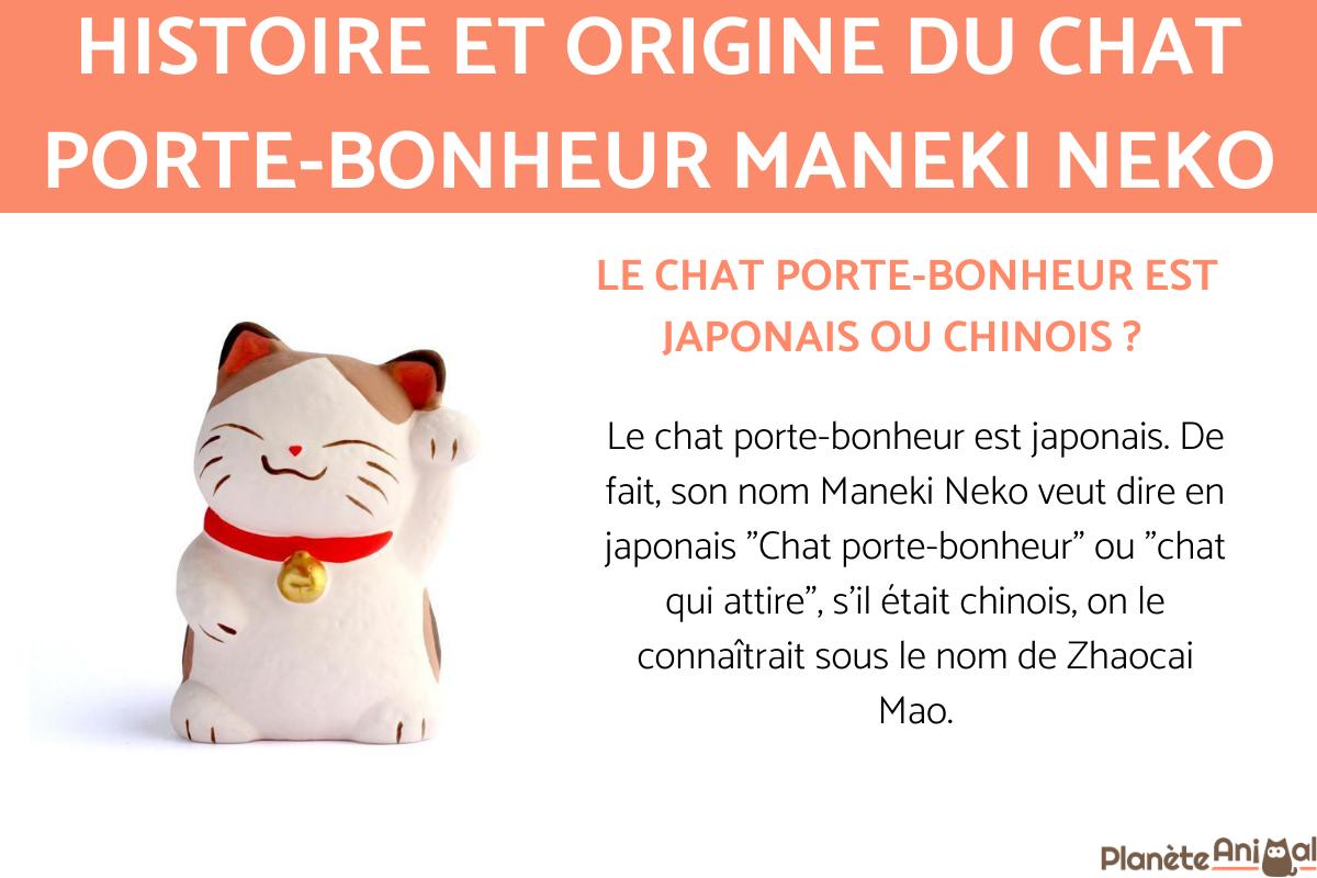 L'histoire du chat porte bonheur - Maneki Neko