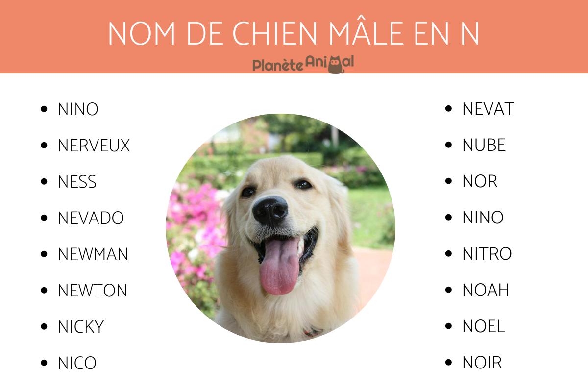Idées de noms de chiens mâles - PLUS DE 900 IDÉES