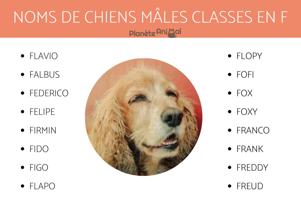 Idées de noms de chiens mâles - PLUS DE 900 IDÉES