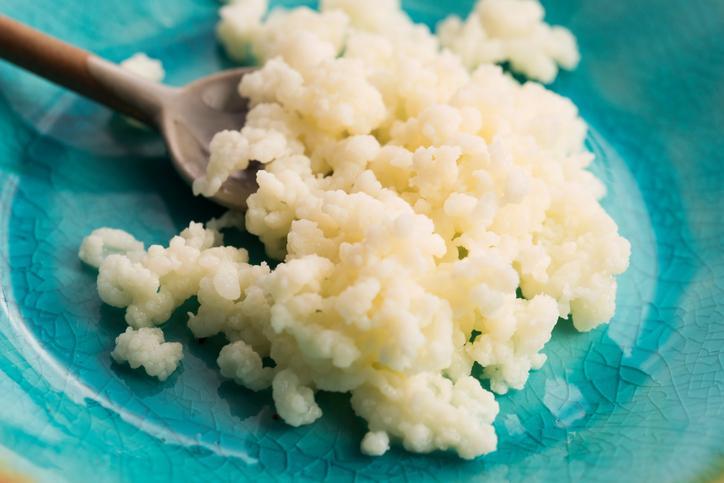 Kéfir de lait pour chien - Probiotique naturel pour chien