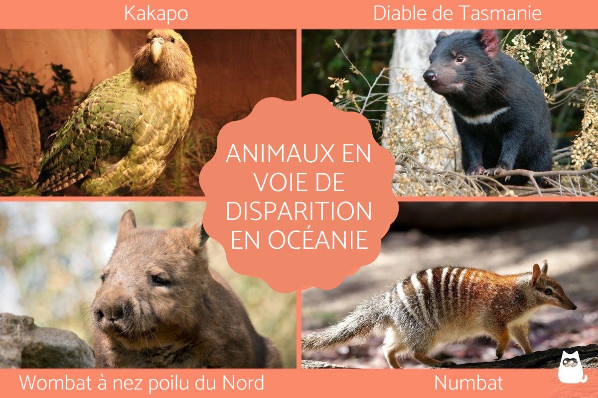 animaux disparus australie