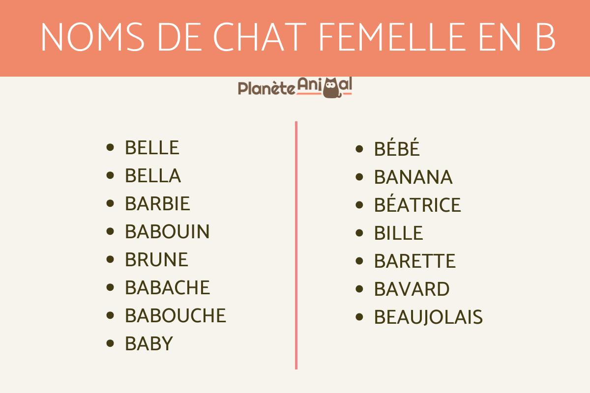 IDÉES de NOMS de CHATS FEMELLES - Plus de 400 IDÉES