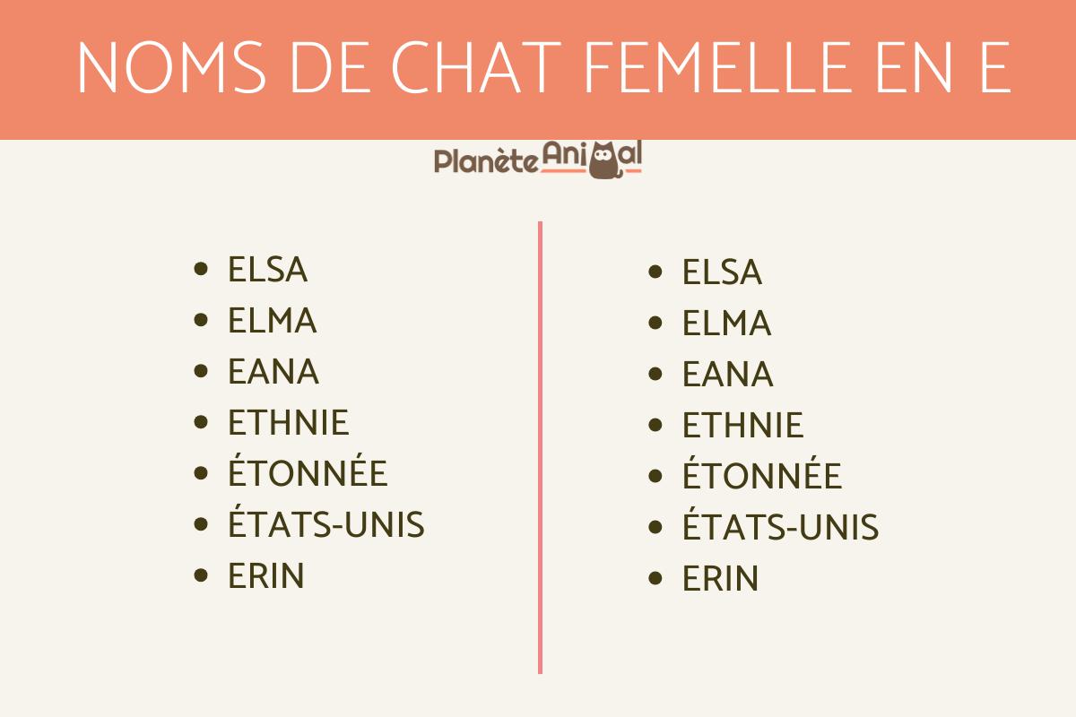IDÉES de NOMS de CHATS FEMELLES - Plus de 400 IDÉES