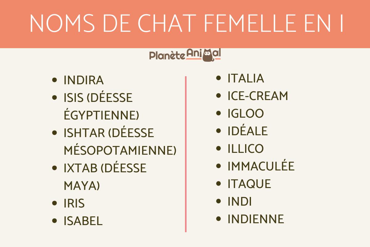 IDÉES de NOMS de CHATS FEMELLES - Plus de 400 IDÉES