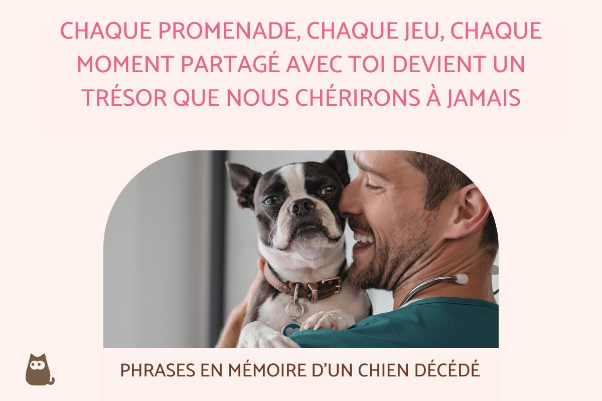 40 Citations pour CHIEN DÉCÉDÉ - Belles et touchantes