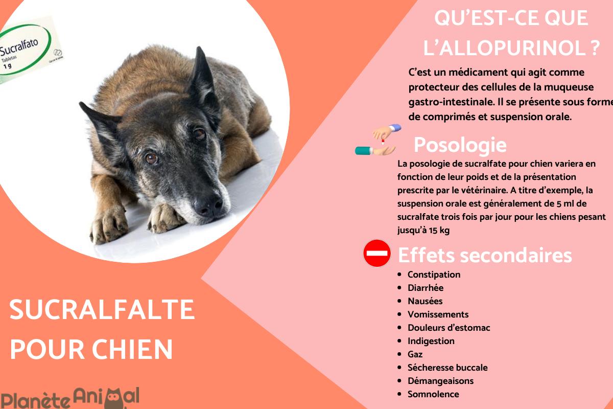 Sucralfate pour chien - Posologie, usages et contre-indications