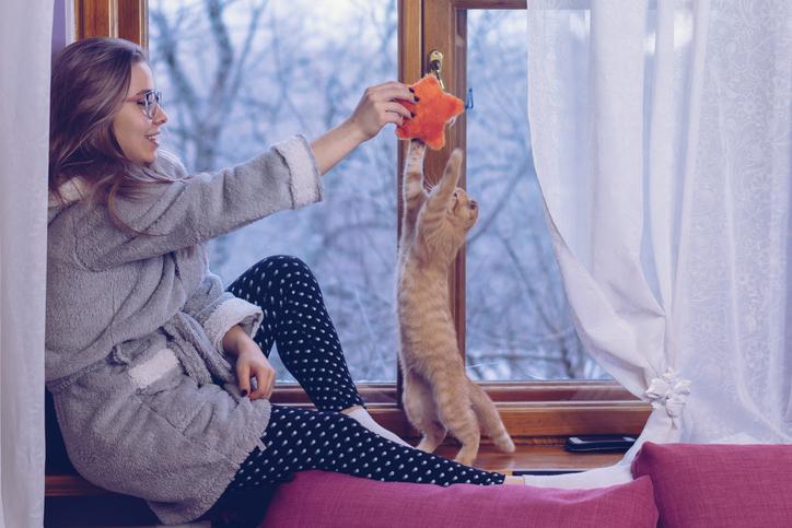 Les chats aiment-ils les bisous ? - À découvrir vite