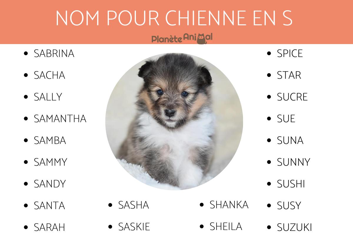 NOMS pour CHIENNES JOLIS et ORIGINAUX - + de 900 noms de A à Z