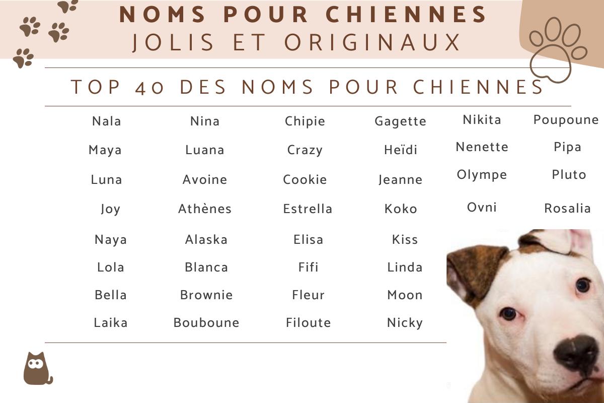 NOMS pour CHIENNES JOLIS et ORIGINAUX - + de 900 noms de A à Z