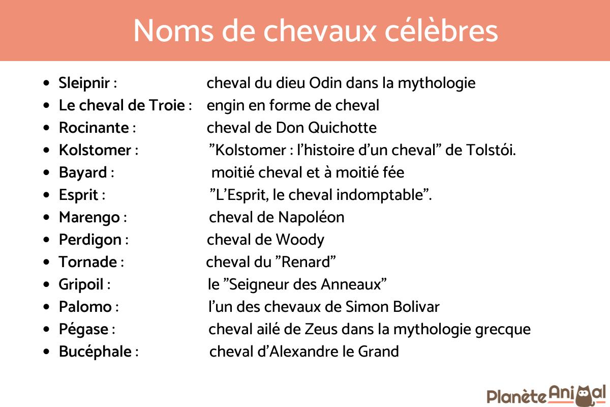 +200 NOMS pour CHEVAUX MÂLES et FEMELLES