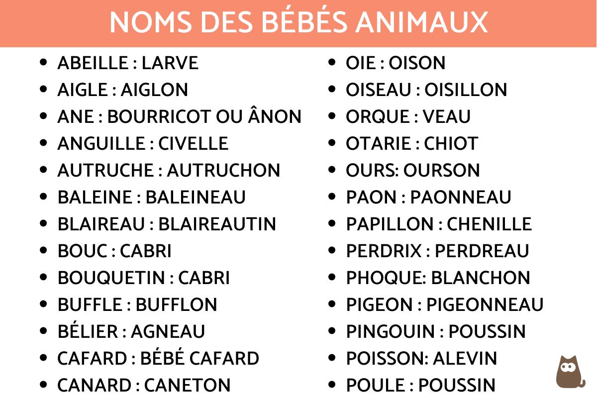 +90 de NOMS de BÉBÉS ANIMAUX - Liste COMPLÈTE