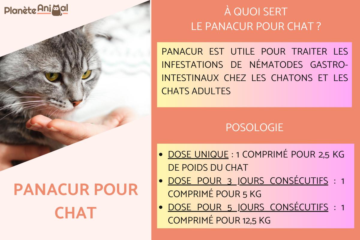 PANACUR pour CHAT - Posologie, utilisation et effets secondaires
