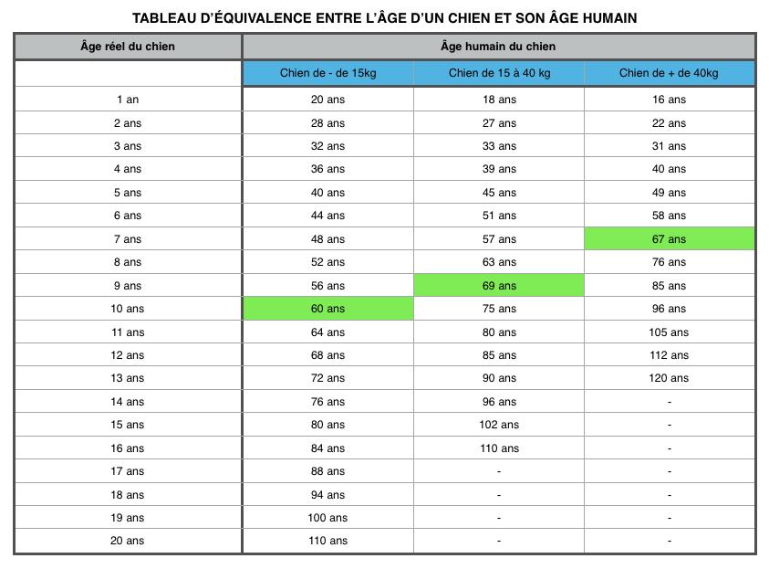 Calculer l'ÂGE d'un CHAT en âge HUMAIN