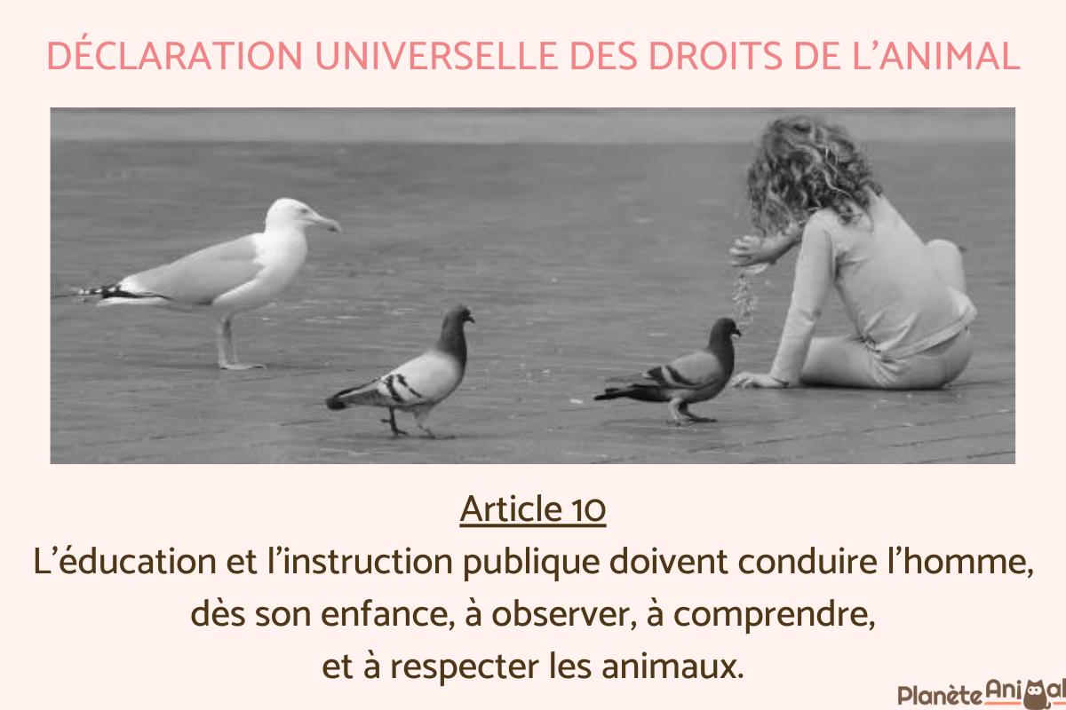 DÉCLARATION UNIVERSELLE DES DROITS DE L'ANIMAL - Article 1-10