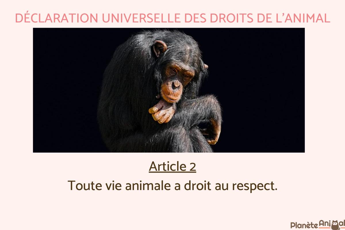 DÉCLARATION UNIVERSELLE DES DROITS DE L'ANIMAL - Article 1-10