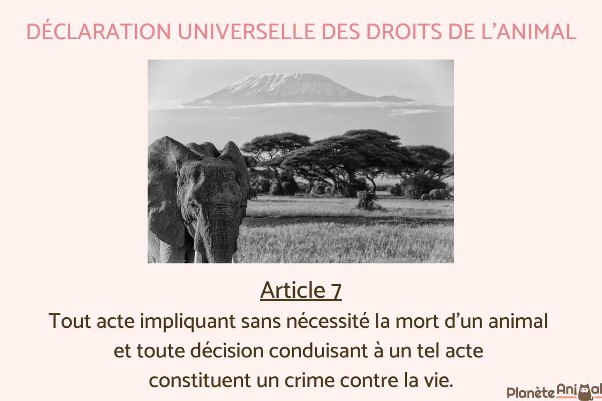 DÉCLARATION UNIVERSELLE DES DROITS DE L'ANIMAL - Article 1-10