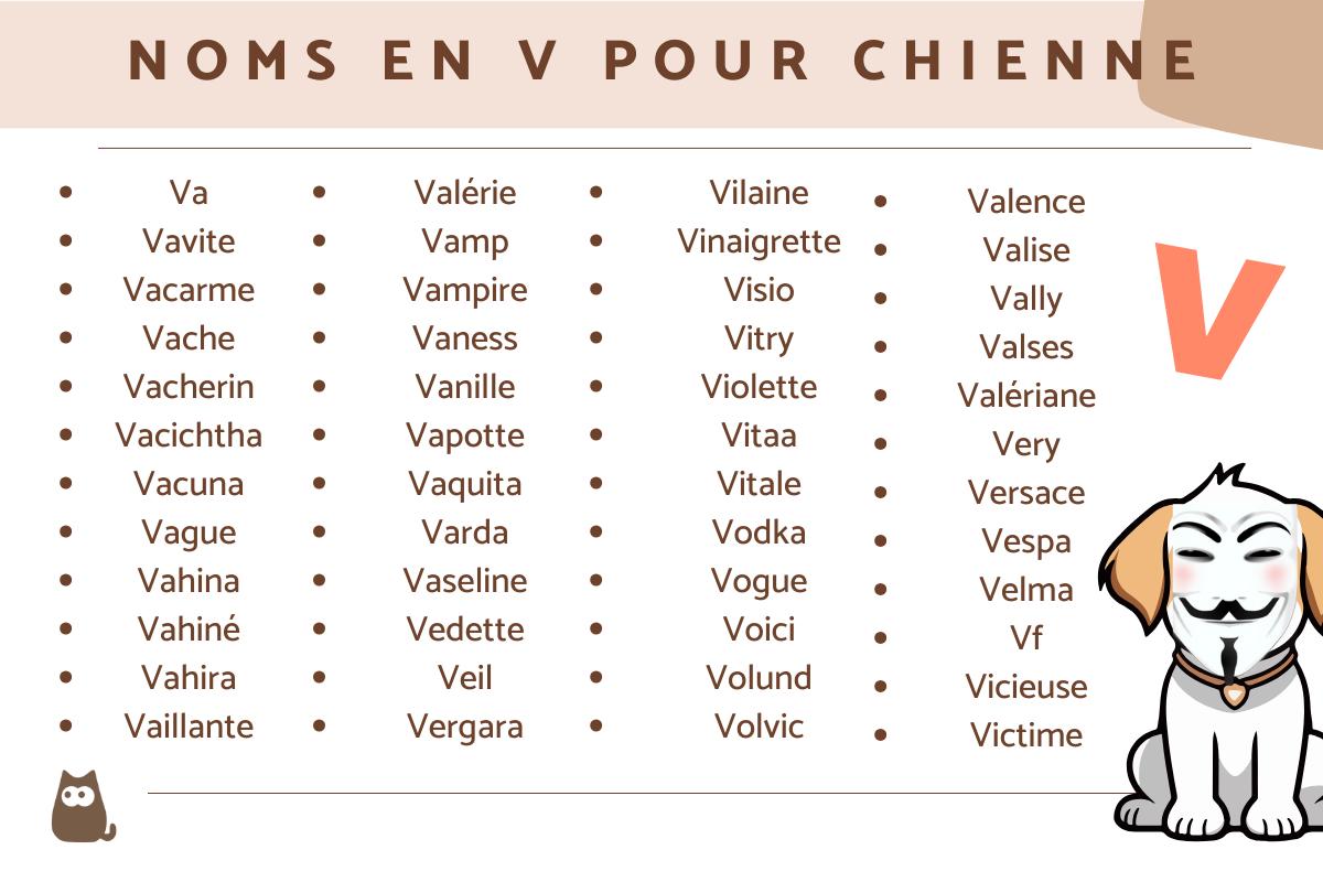 +150 idées de NOM de CHIEN en V - pour 2024
