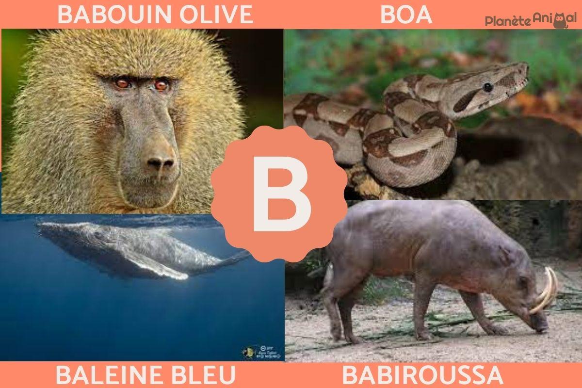 20 ANIMAUX en B - AVEC PHOTOS