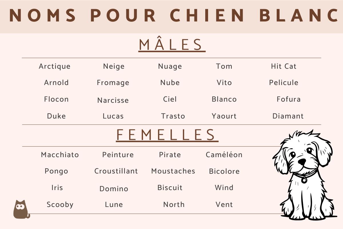 +120 NOMS pour CHIENS BLANCS - Mâles et Femelles